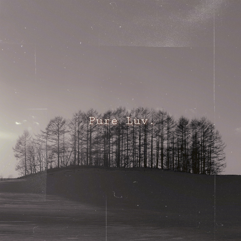 獅志 a.k.a Def Low - Pure Luv (feat. 流風) 歌詞 ( Lyrics) | UTA5歌詞