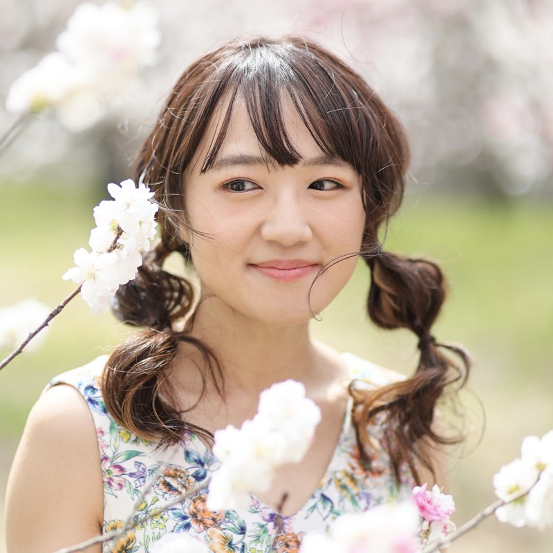 OKAPY - ハルネガイ 歌詞 ( Lyrics) | UTA5歌詞